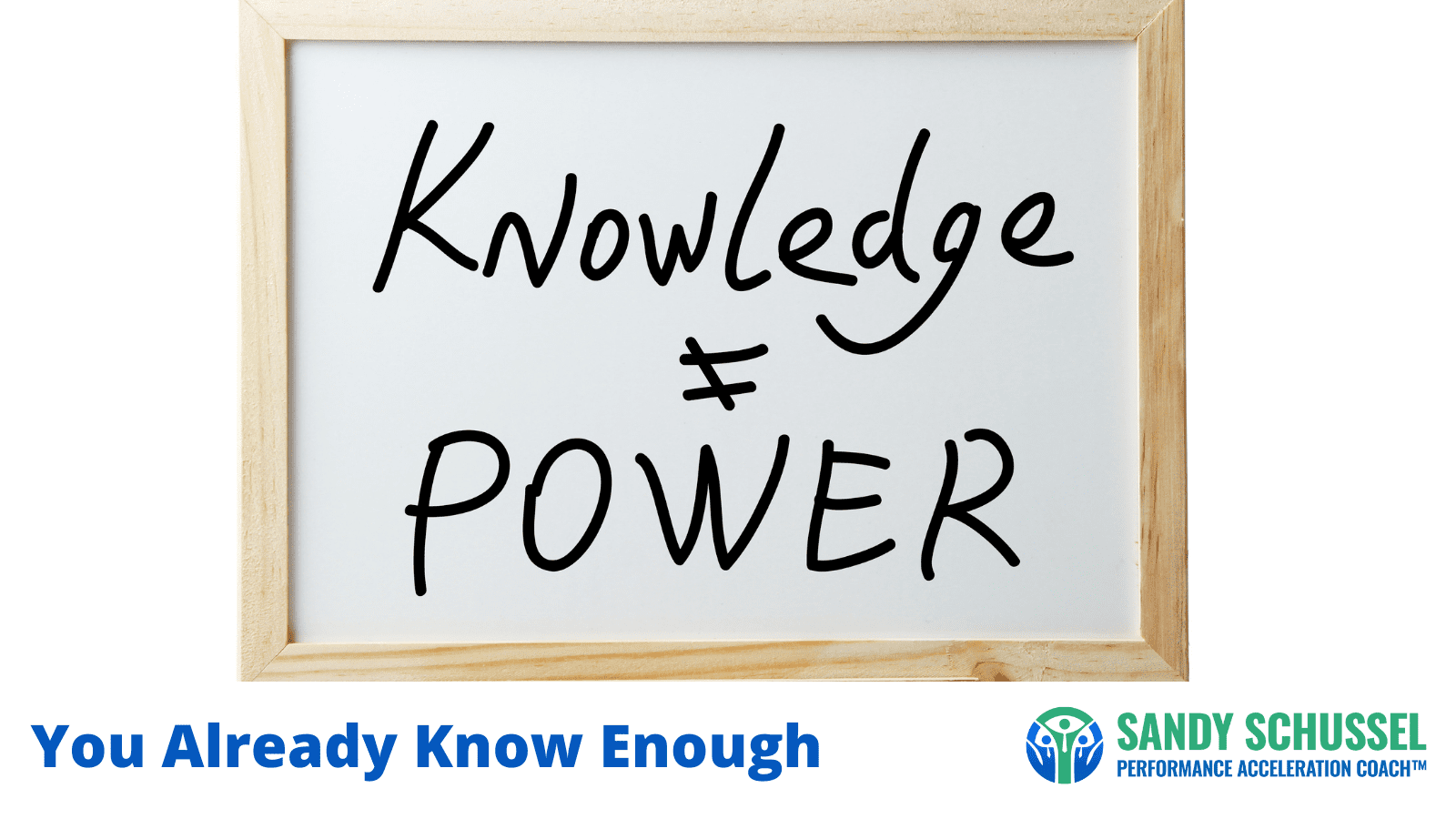 You Already Know Enough - Sandy Schussel